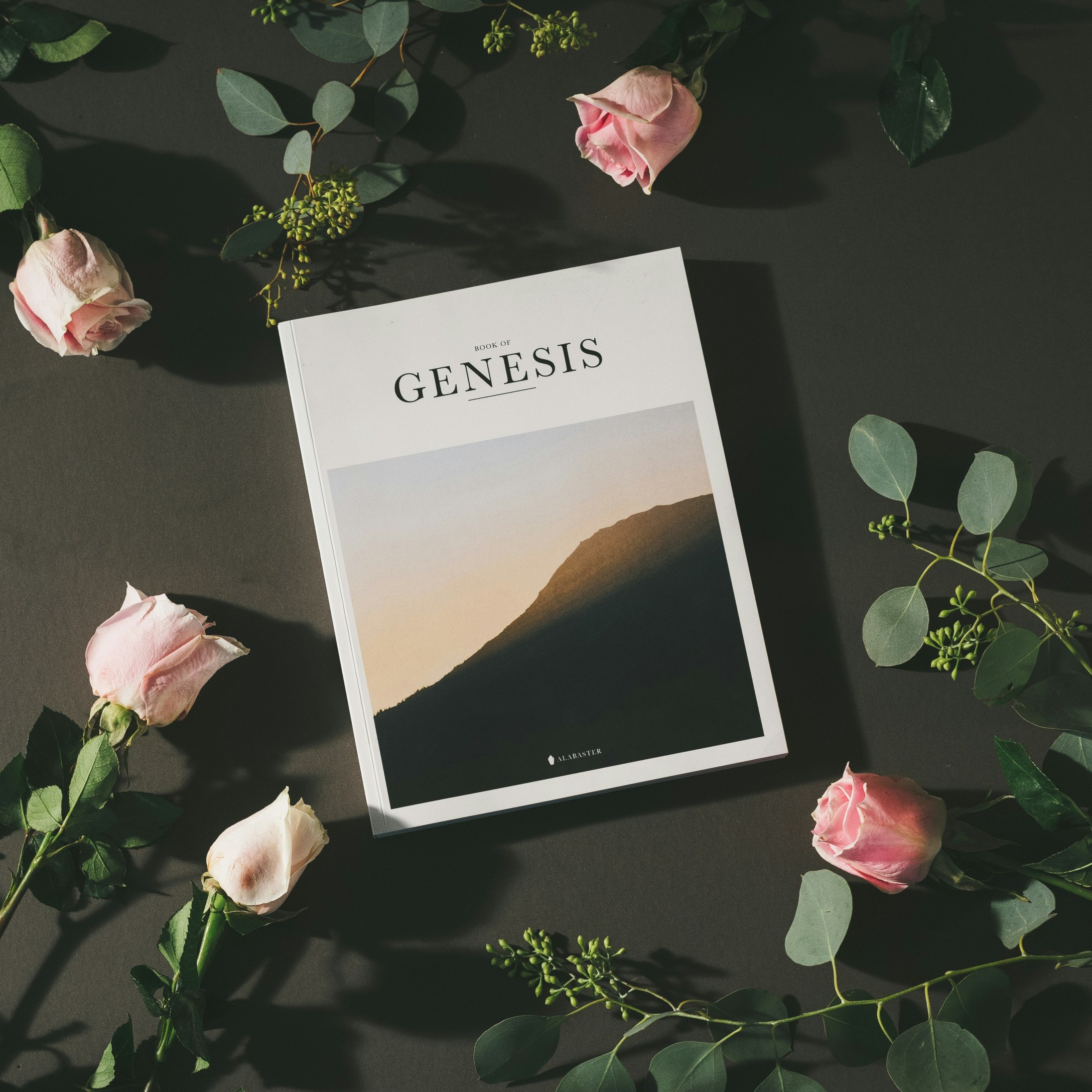 Interpreting Genesis: A Historical Perspective – Scribbling Theology